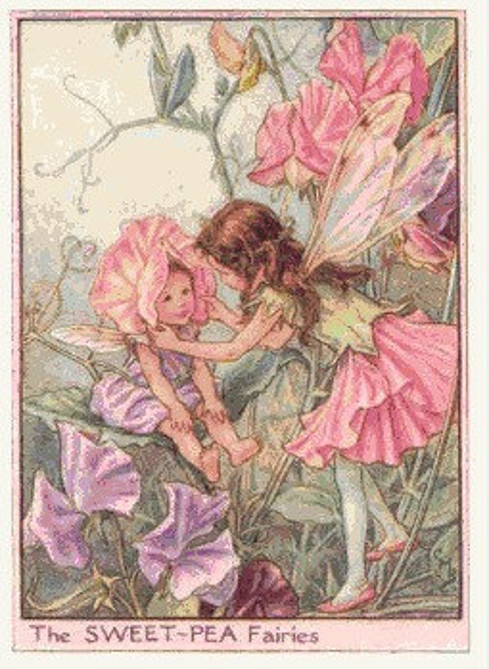 Sweet Pea Cross stitch pattern pdf format | Etsy