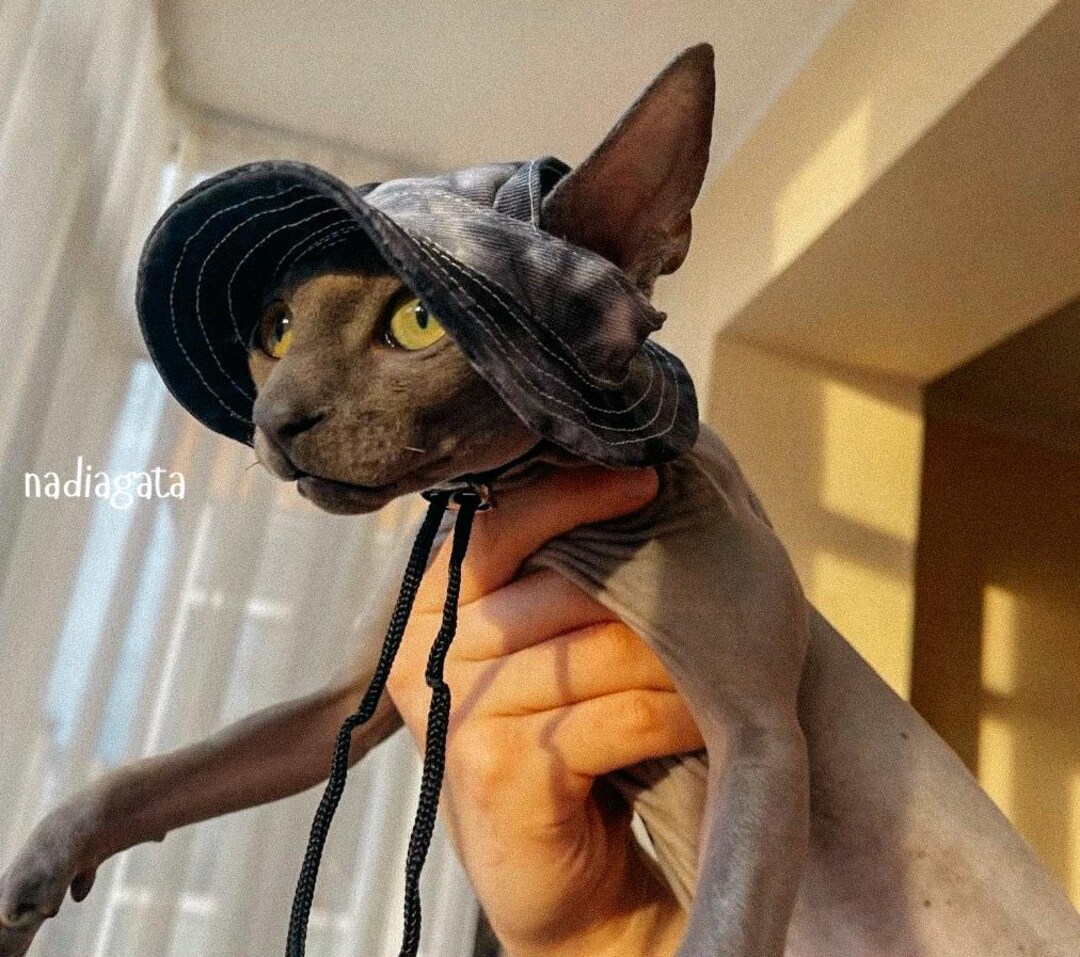 Tie Dye Sphynx Cat Hat With Ear Holes: Costume Accessory - Etsy Canada