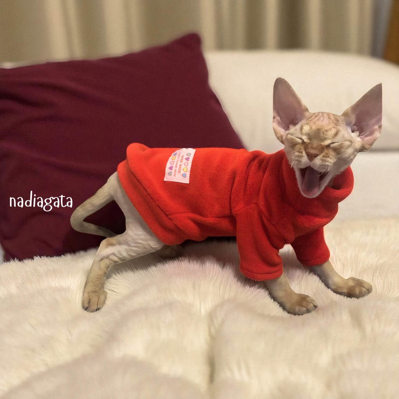 Soft Sphynx Cat Clothes - Etsy UK