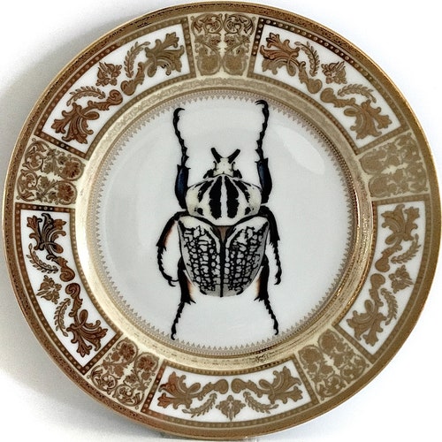 FREE Shipping-gorgeous Green and Gold Insect Plate / Bug - Etsy