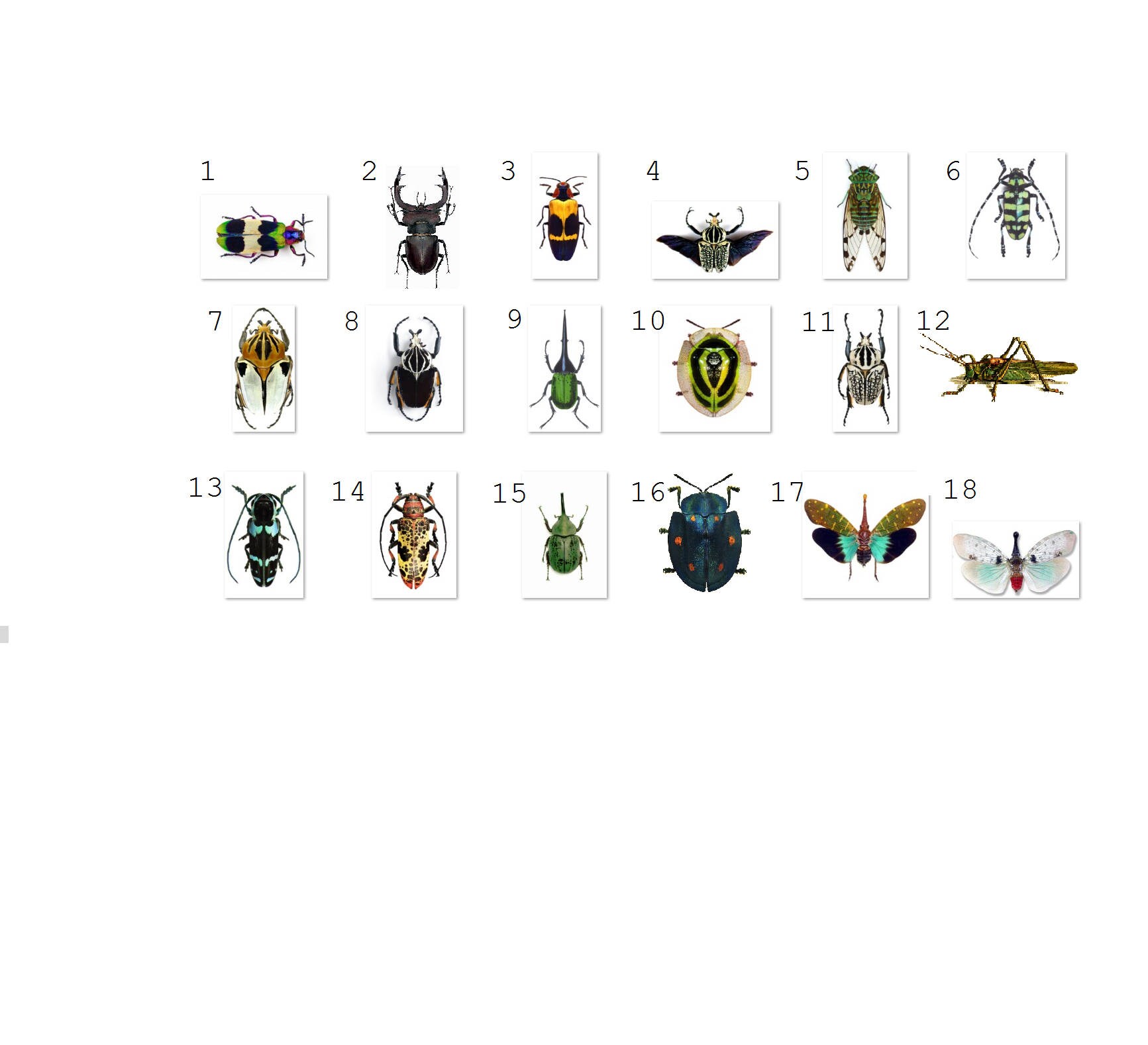 FREE Shipping-gold Porcelain Insect Plate/bug Plate or Cup and | Etsy ...