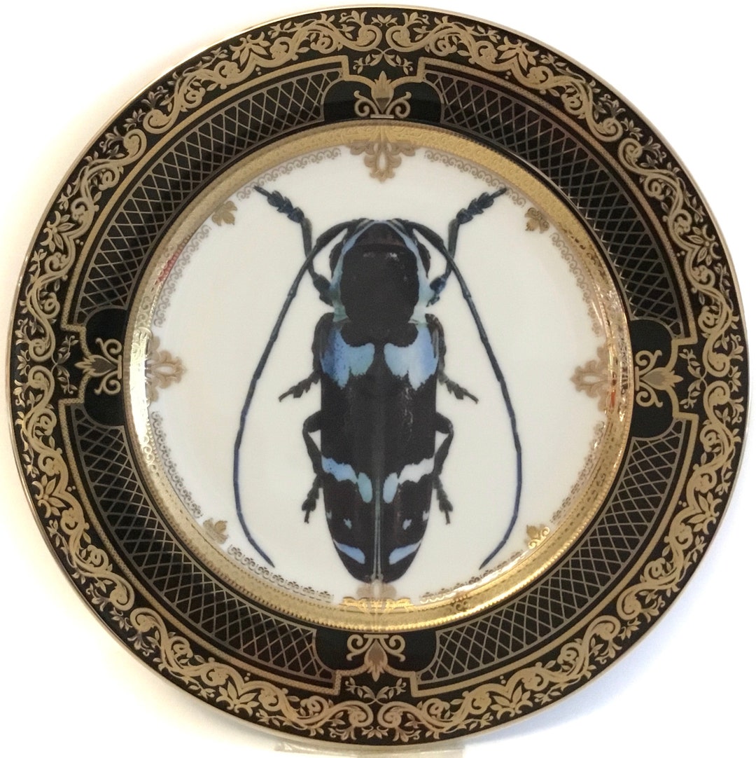 FREE Shipping-gorgeous Black and Gold Insect Plate / Bug Plate, Various ...