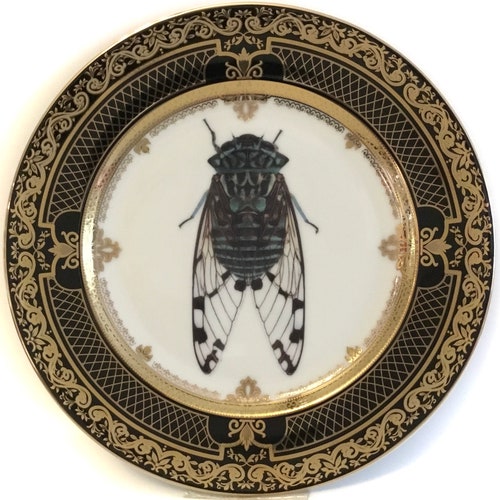 FREE Shipping-gorgeous Green and Gold Insect Plate / Bug - Etsy