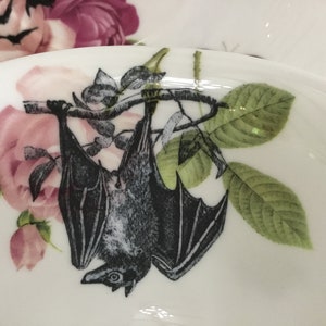 Adorable Rose / Floral Bat Teacup and Saucer Set, 8 Ounces, Food- and ...
