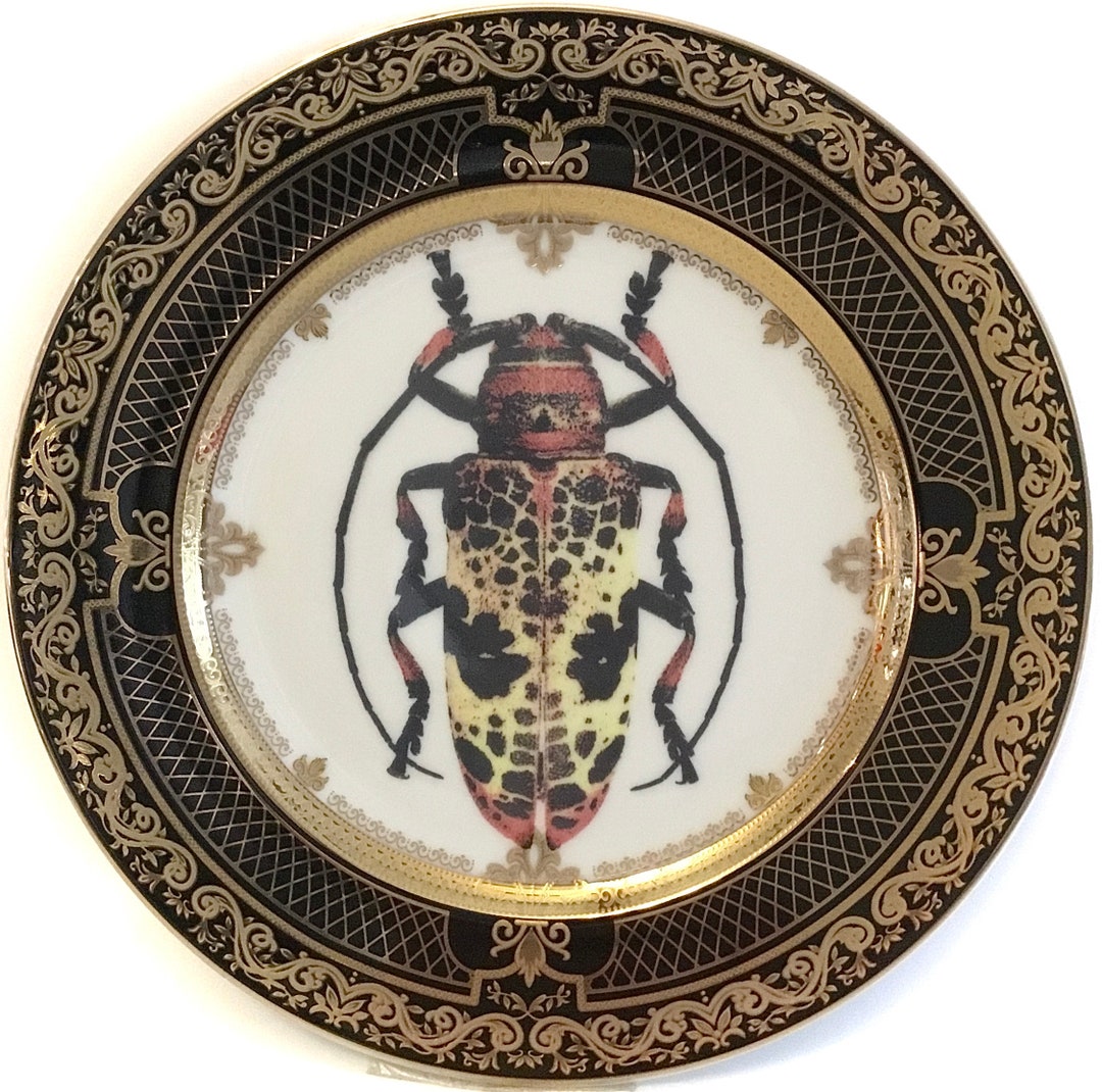 FREE Shipping-gorgeous Black and Gold Insect Plate / Bug Plate, Various ...