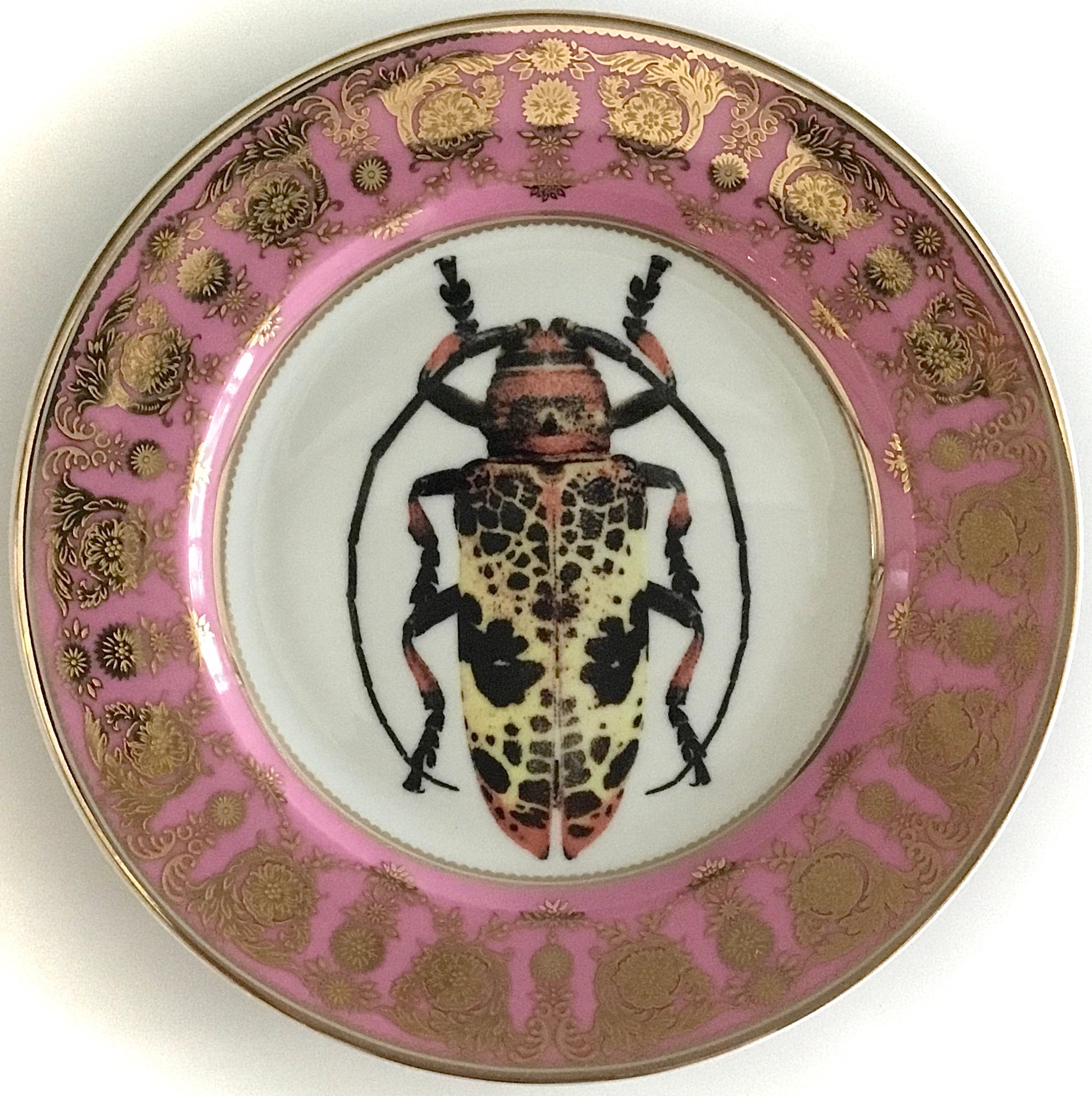 FREE Shipping-gorgeous Pink and Gold Insect Plate / Bug Plate | Etsy