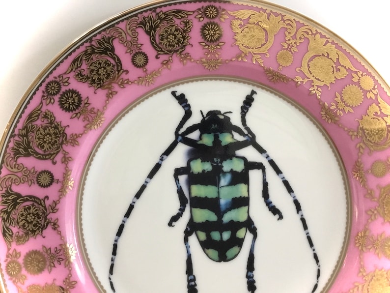 FREE Shipping-gorgeous Pink and Gold Insect Plate / Bug Plate | Etsy