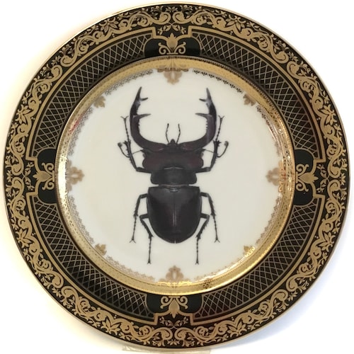 FREE Shipping-gorgeous Pink and Gold Insect Plate / Bug Plate - Etsy