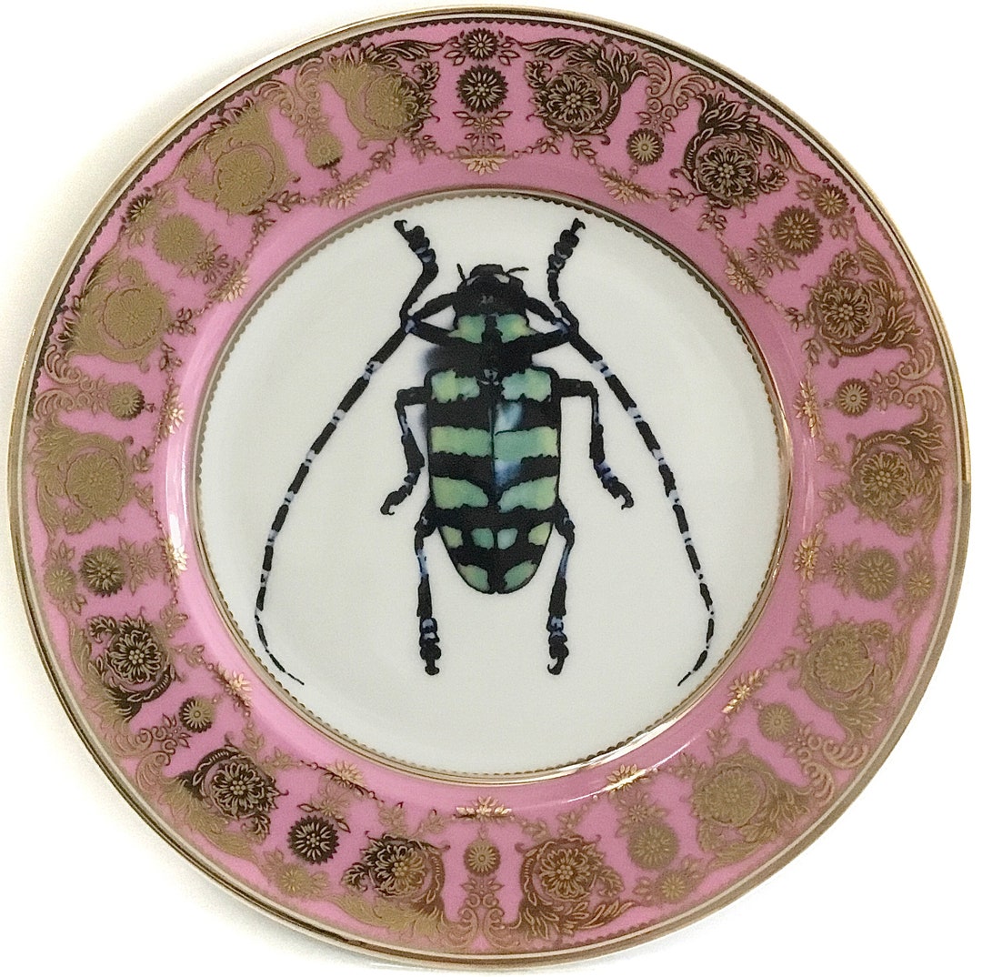 FREE Shipping-gorgeous Pink and Gold Insect Plate / Bug Plate, Various ...