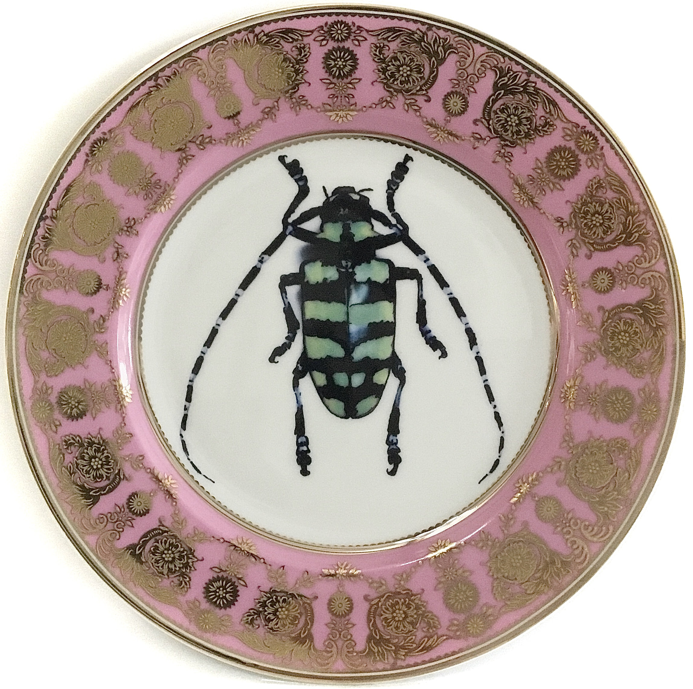 FREE Shipping-gorgeous Pink and Gold Insect Plate / Bug Plate | Etsy
