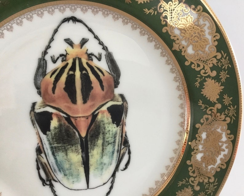FREE Shipping-gorgeous Green and Gold Insect Plate / Bug - Etsy