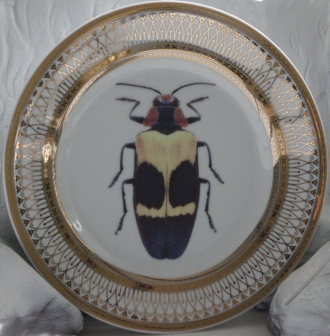 Gold Porcelain Bug Plate, Insect Plate, Bug Dish, Insect Dish ...