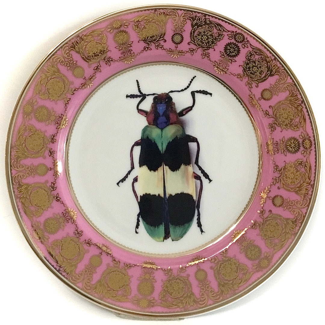 FREE Shipping-gorgeous Pink and Gold Insect Plate / Bug Plate, Various ...