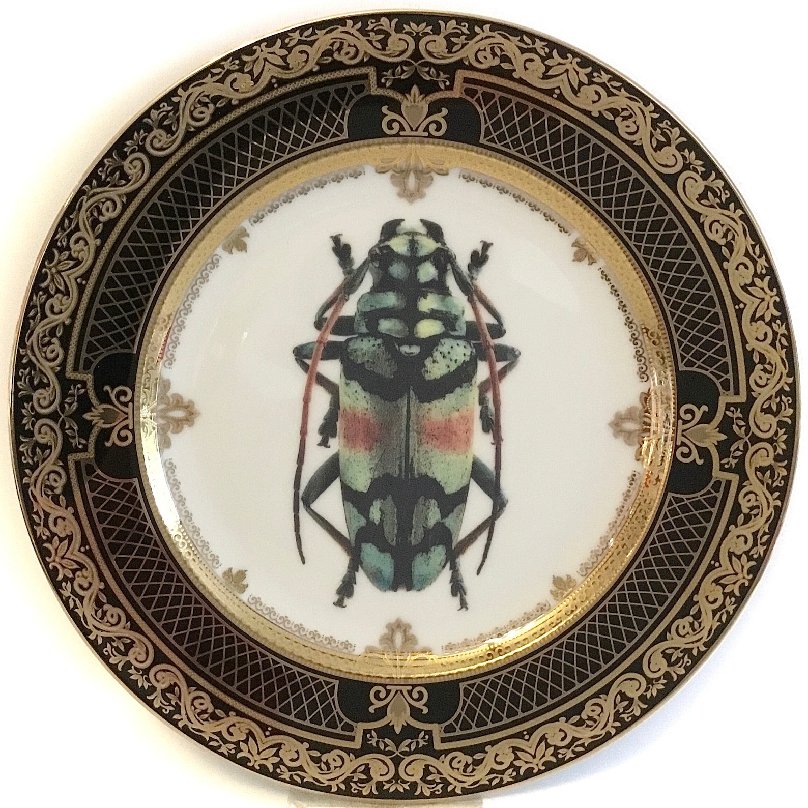 FREE Shipping-gorgeous Black and Gold Bug Plate / Insect | Etsy