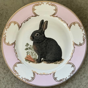 Pink, Blue or Green Rabbit Plate, Vegan Bone China. Durable and Food ...