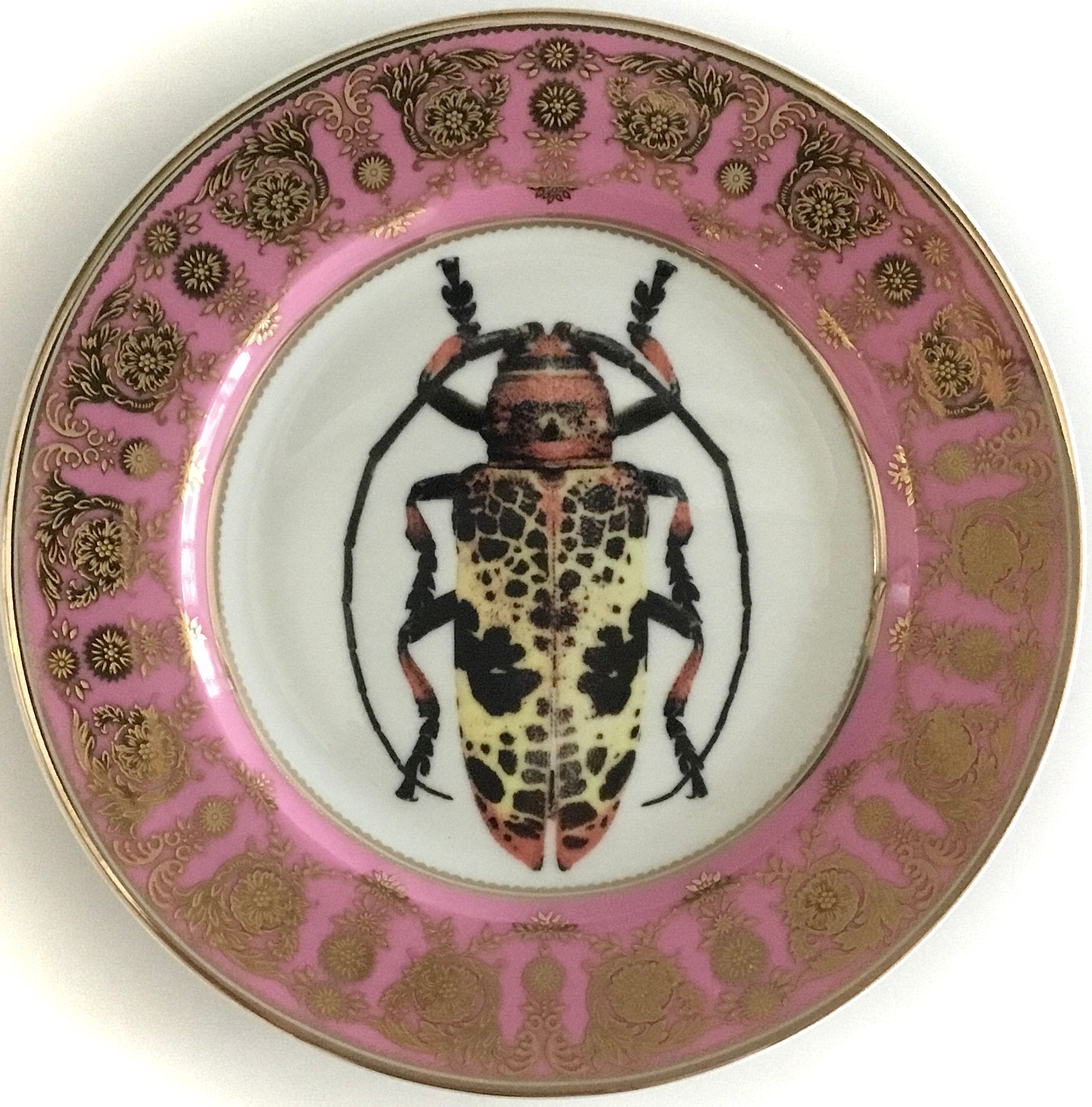 FREE Shipping-gorgeous Pink and Gold Insect Plate / Bug Plate | Etsy
