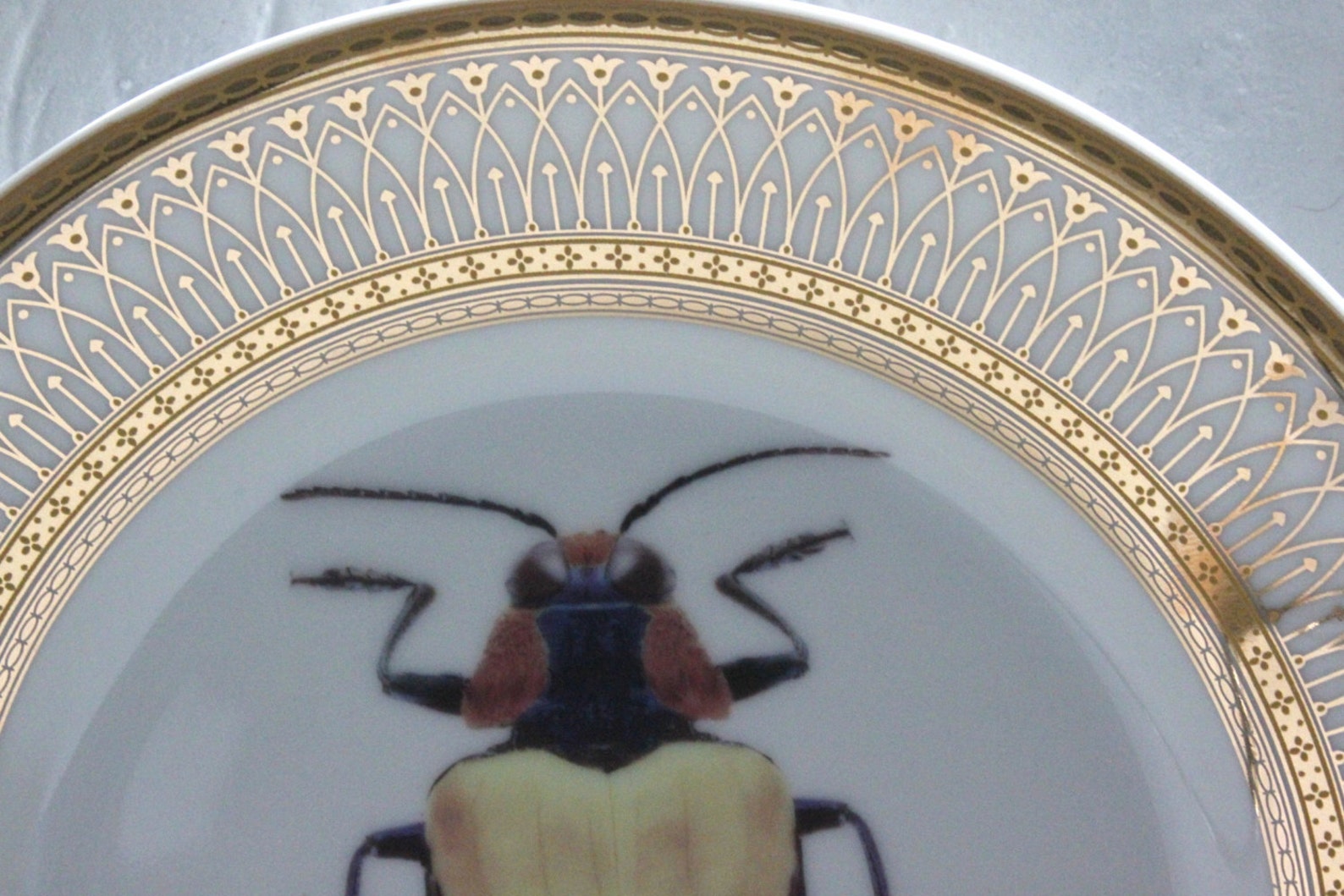 Gold Porcelain Bug Plate Insect Plate Bug Dish Insect Dish - Etsy