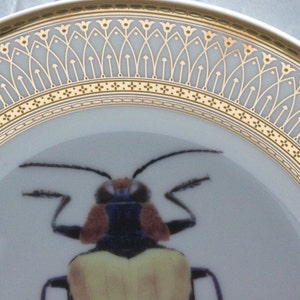 Gold Porcelain Bug Plate, Insect Plate, Bug Dish, Insect Dish ...