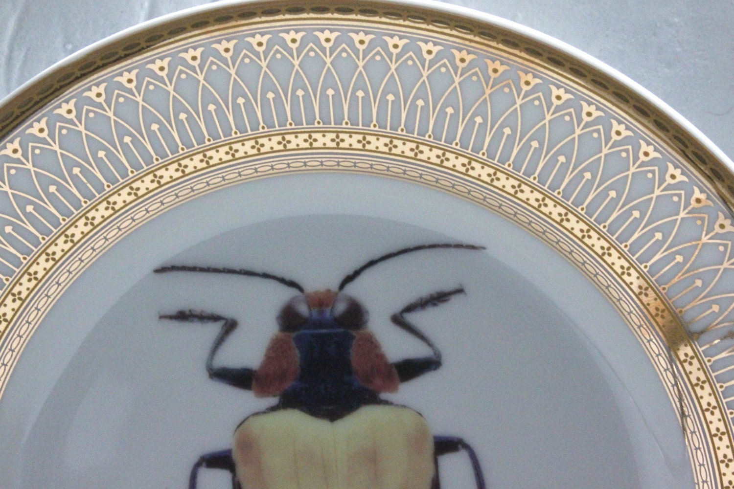Gold Porcelain Bug Plate, Insect Plate, Bug Dish, Insect Dish ...