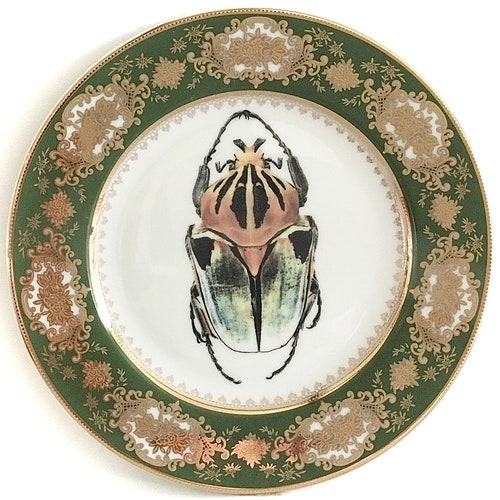 FREE Shipping-gorgeous Pink and Gold Insect Plate / Bug Plate - Etsy