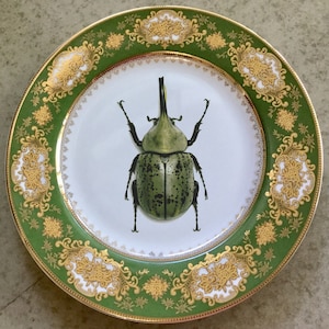 Stunning Raised Green and Gold Beetle Plate, 2 Available Sizes ...