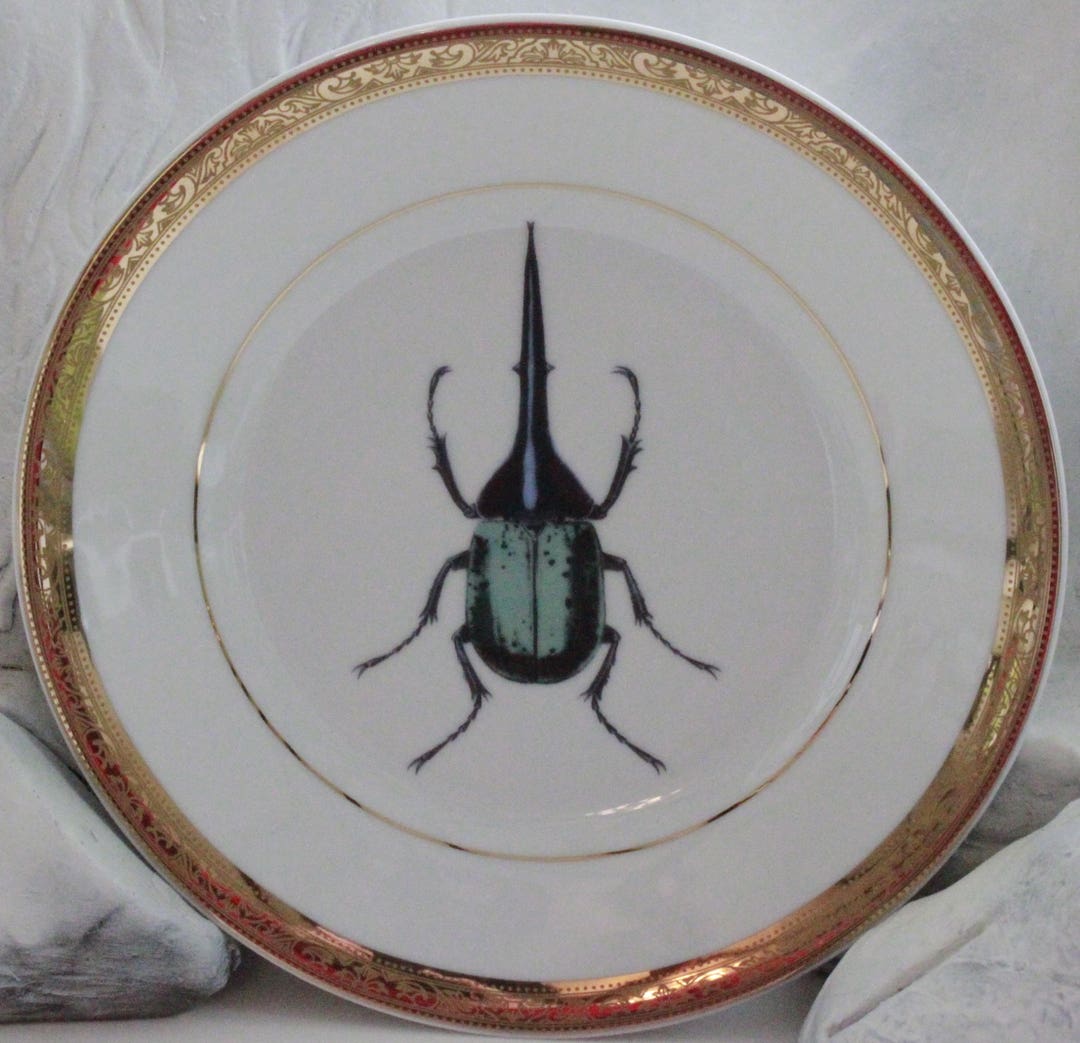 FREE Shipping-gold Porcelain Insect Plate/bug Plate or Cup and Saucer ...