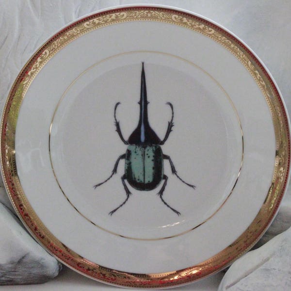Insect Dinnerware - Etsy