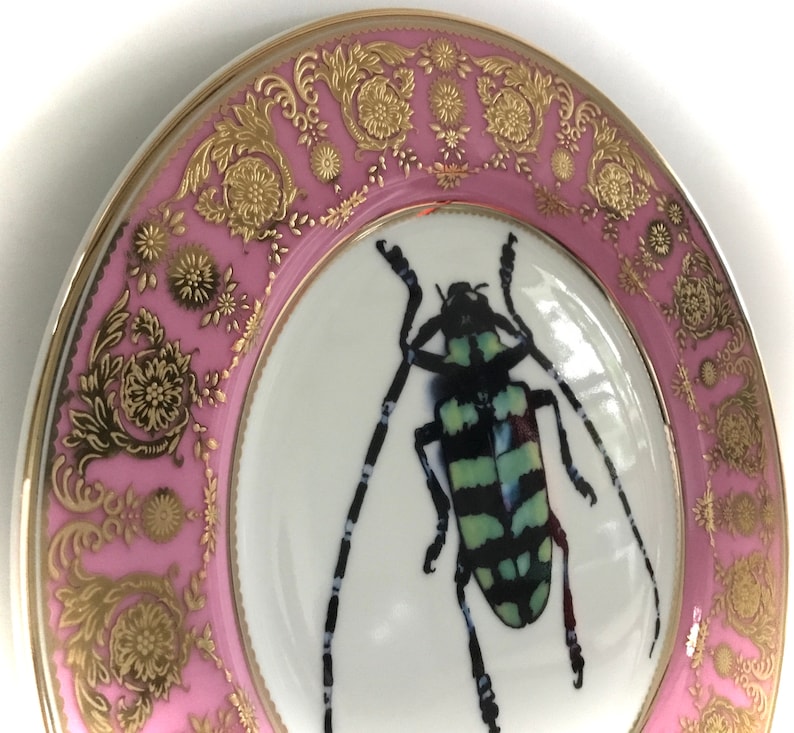 FREE Shipping-gorgeous Pink and Gold Insect Plate / Bug Plate - Etsy