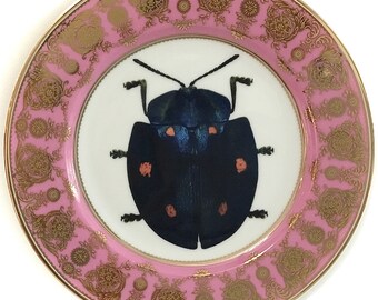 FREE Shipping-gorgeous Pink and Gold Insect Plate / Bug Plate | Etsy