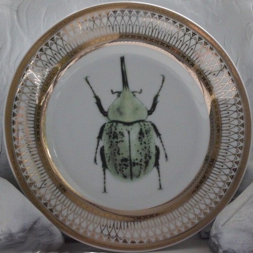 Gold Bug / Insect Plates Beetle Plates Bug Dishes Bug - Etsy