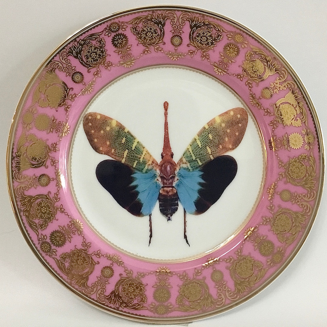 FREE Shipping-gorgeous Pink and Gold Butterfly Plate / Bug Plate ...