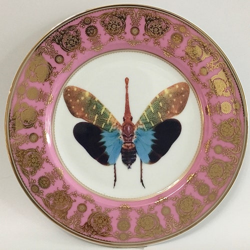 FREE Shipping-gorgeous Pink and Gold Insect Plate / Bug Plate - Etsy