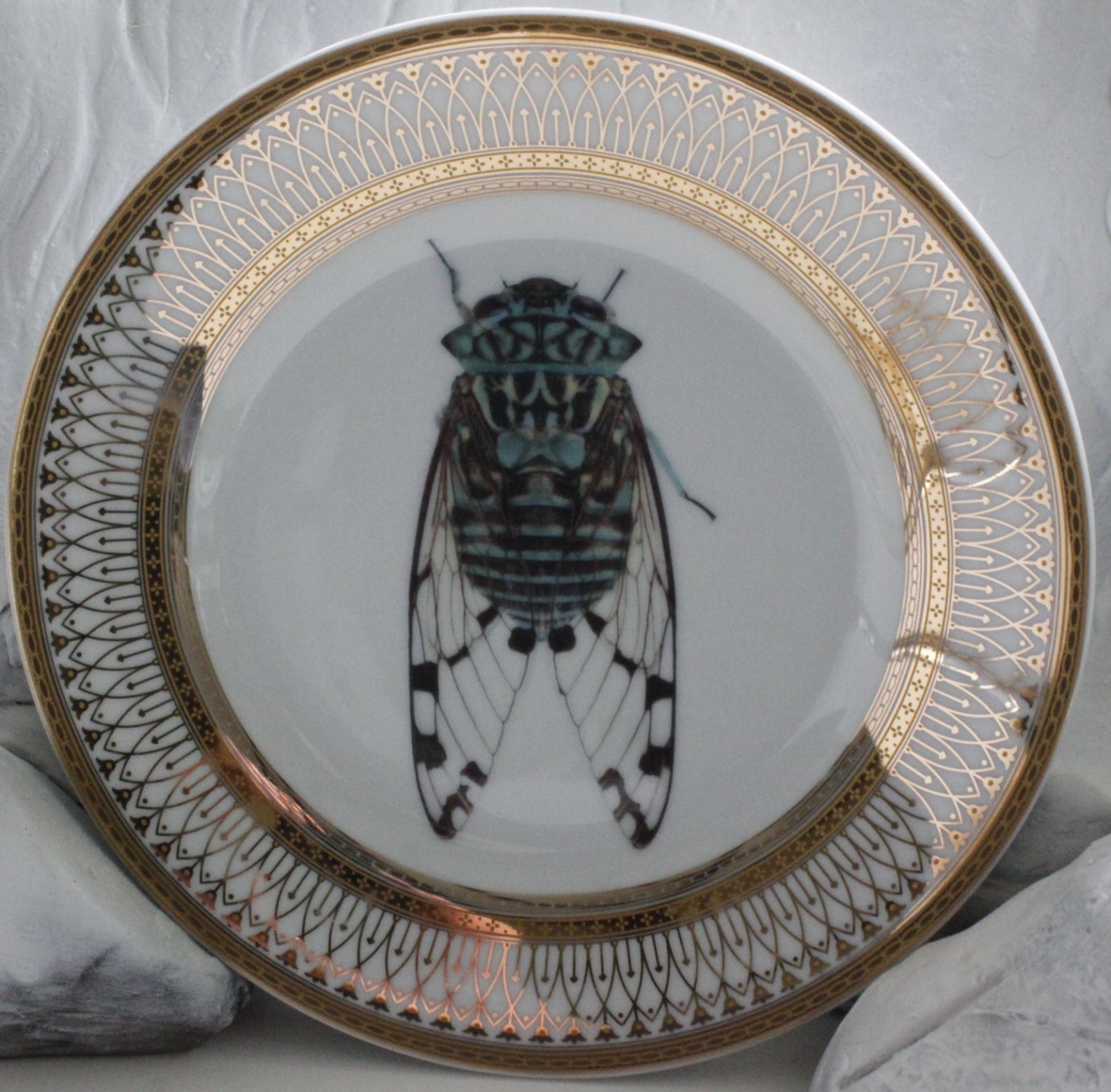 FREE Shipping-gold Porcelain Cicada Bug Plate or Cup and | Etsy