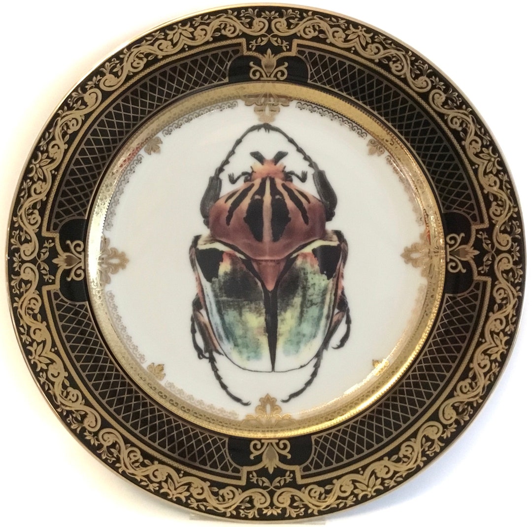 FREE Shipping-gorgeous Black and Gold Goliath Beetle Plate / Insect ...