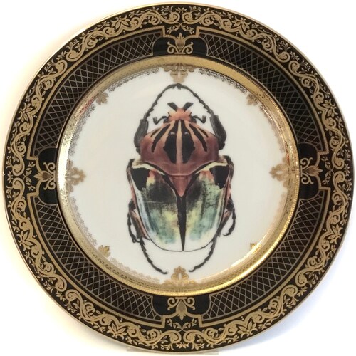 FREE Shipping-gorgeous Pink and Gold Insect Plate / Bug Plate - Etsy