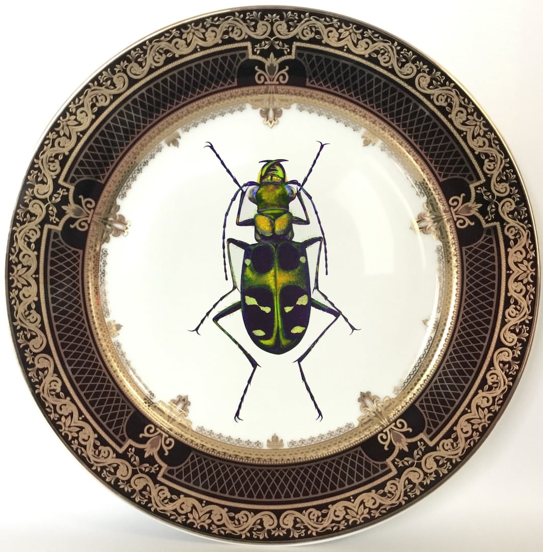 FREE Shipping-gorgeous Black and Gold Insect Plate / Bug Plate, Various ...