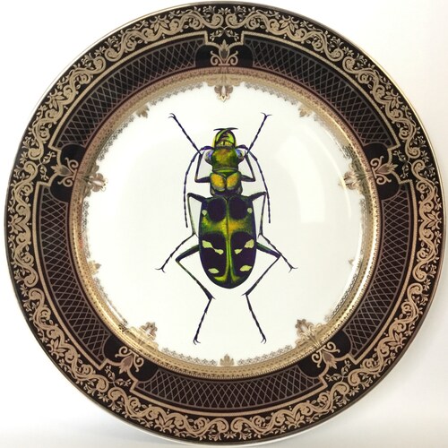 FREE Shipping-gorgeous Pink and Gold Insect Plate / Bug Plate - Etsy