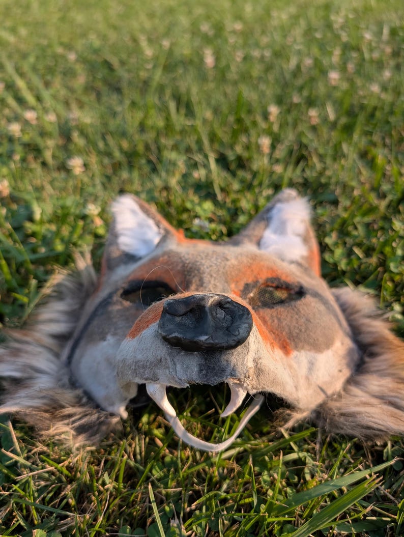 Coyote Therian/furry Canine Mask, Animal Masks for Animal Lovers ...