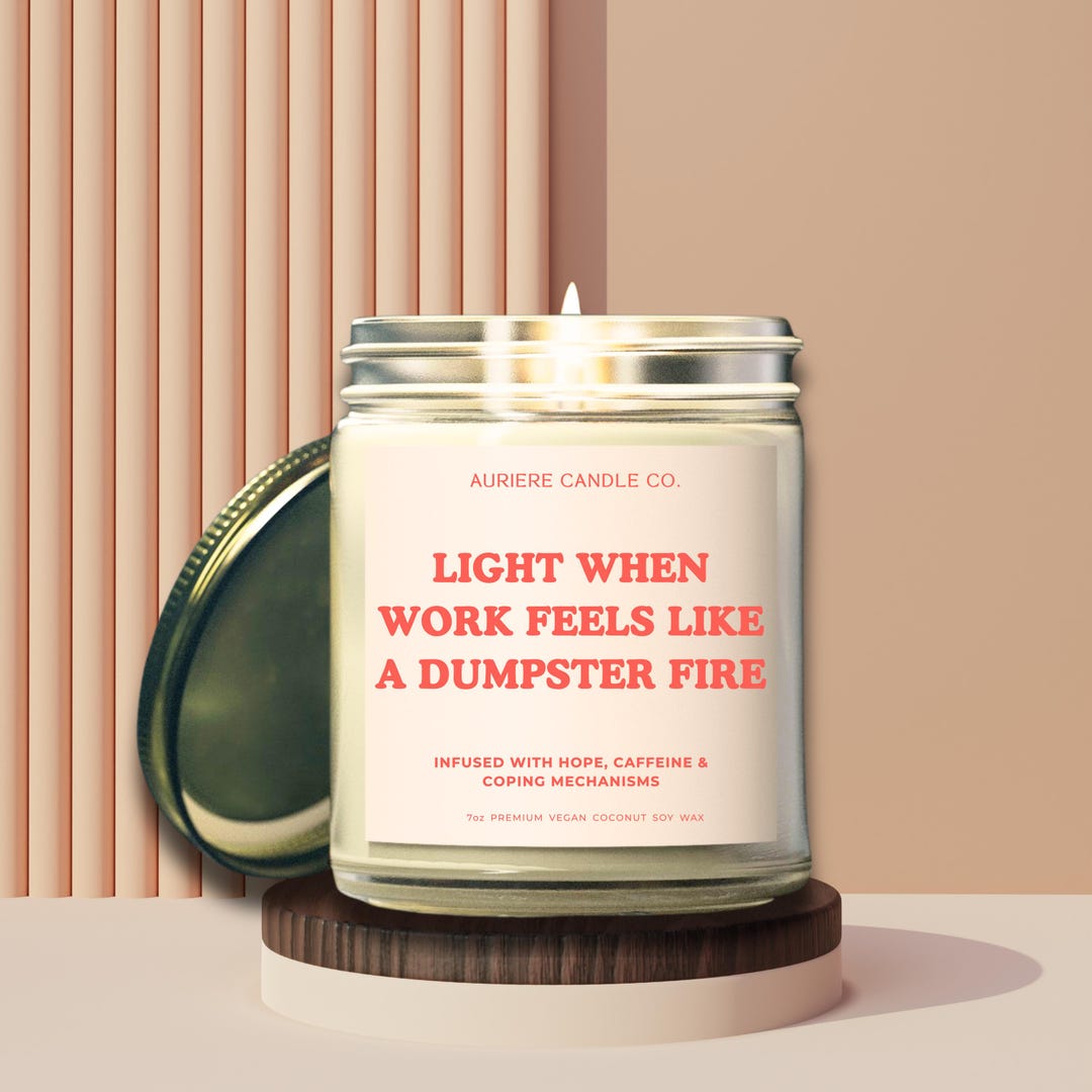 Funny Coworker Gift, Light When Work Feels Like Dumpster Fire, New Job ...