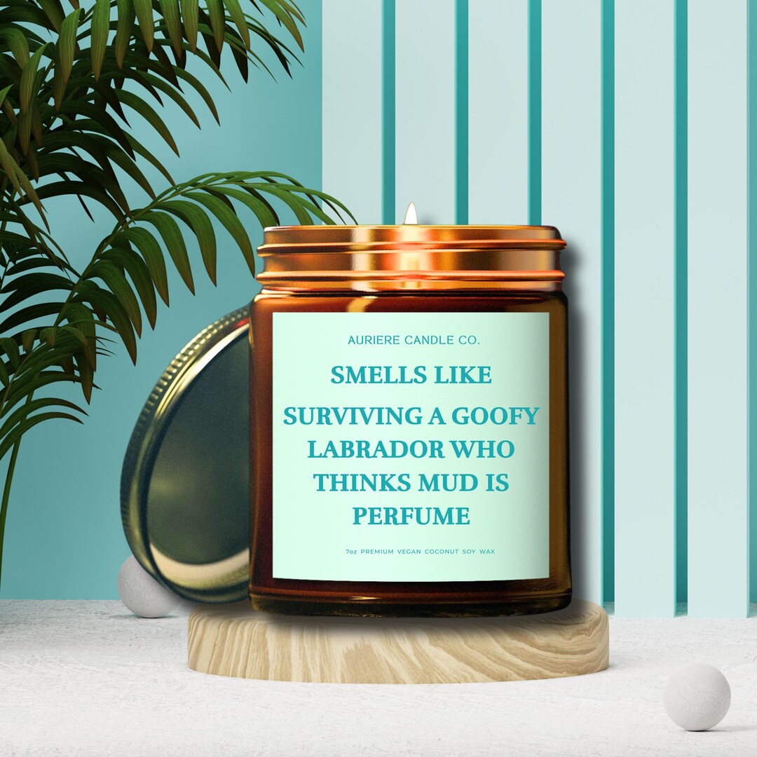 Surviving a Goofy Labrador, Candle Gift for Black Lab Mom Dad Owner ...