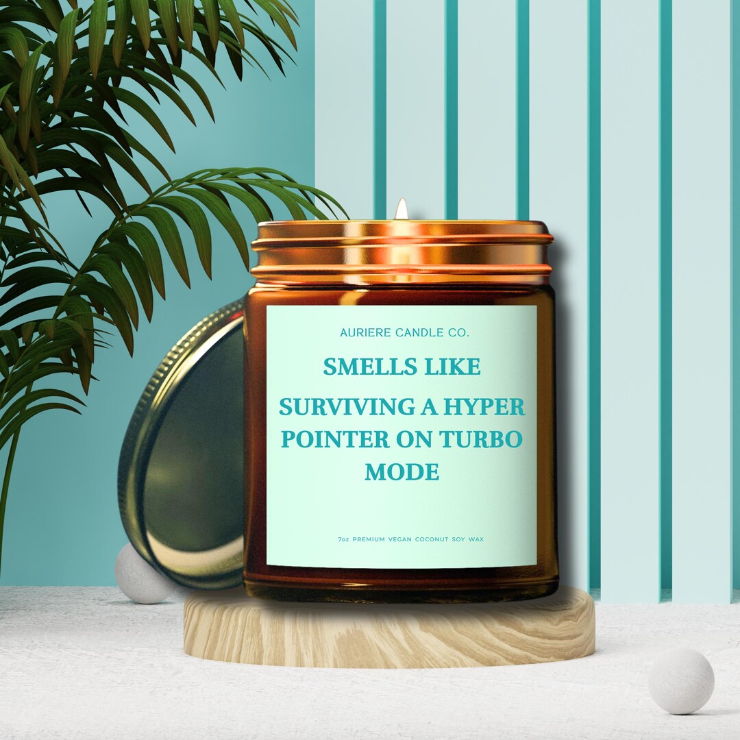 Surviving a Hyper Pointer Candle, Gift for German Shorthaired Pointer ...