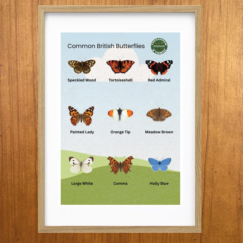 British Garden Butterflies Identification Guide: UK Wildlife Poster ...