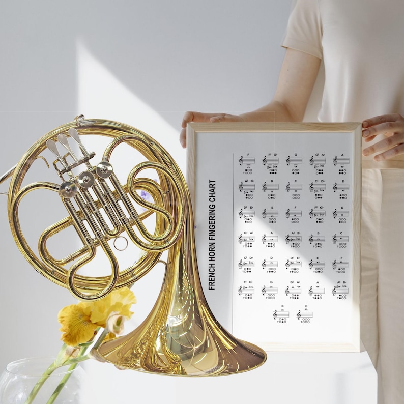 French Horn Fingering Chart for Students | Brass Classroom Poster ...