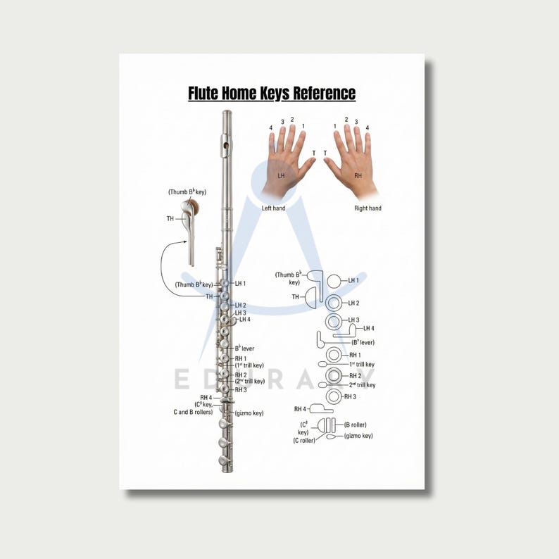 Flute Home Keys Reference Chart – Beginner Fingering Guide for Music ...