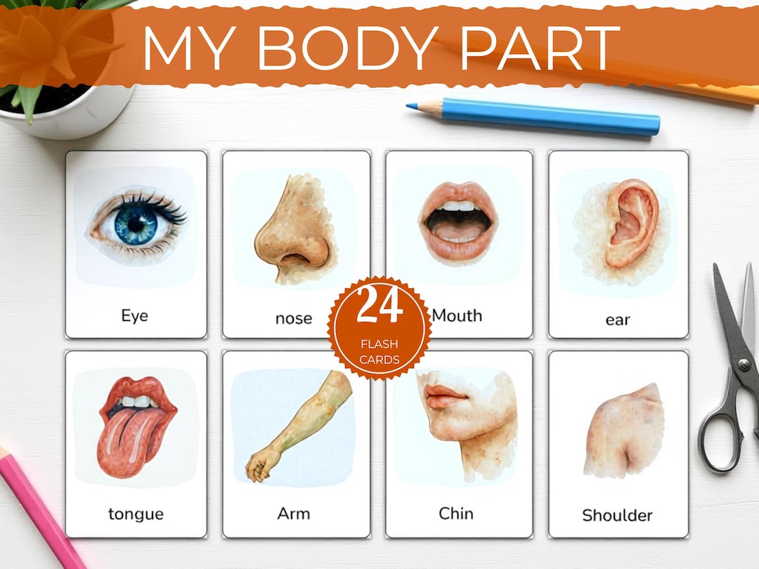 Body Parts Flashcards Human Anatomy Learning Printable Classroom ...
