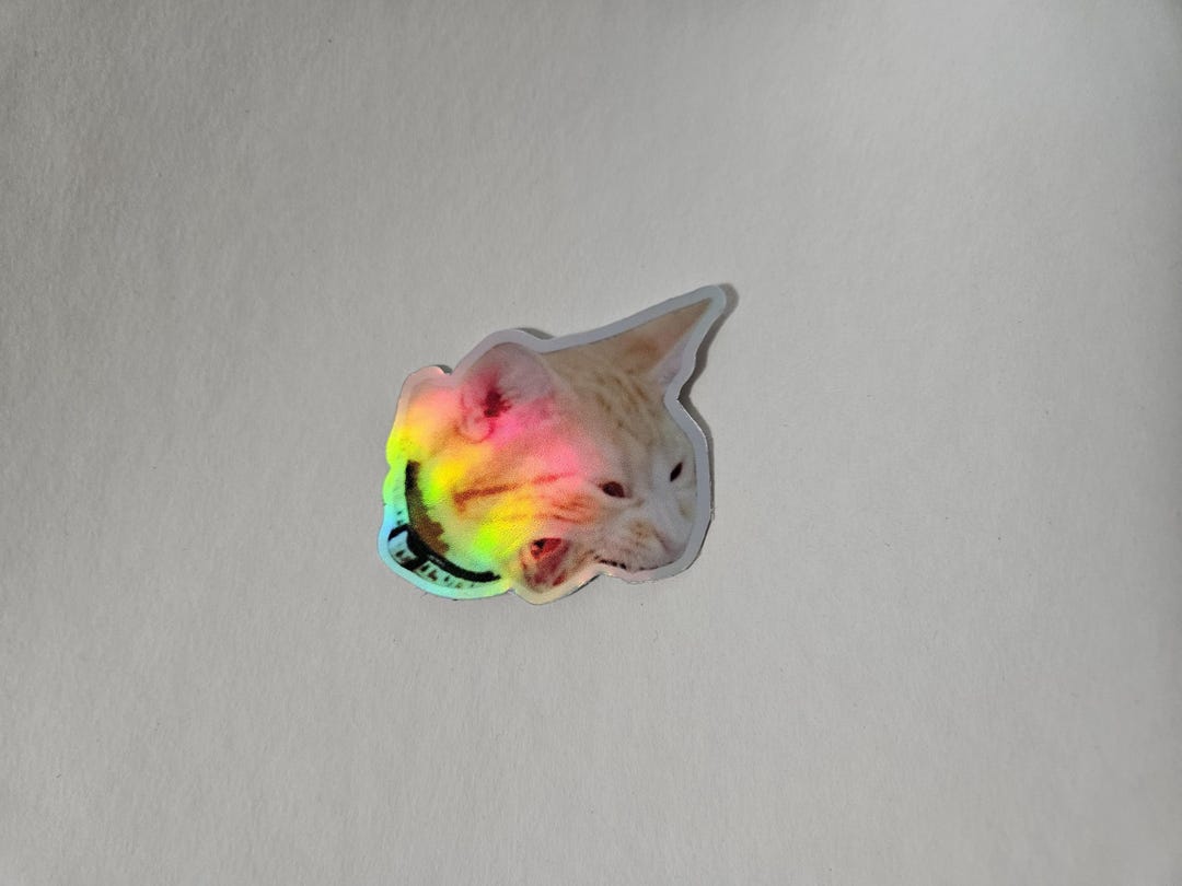 Funny Cat Meme Sticker - Etsy