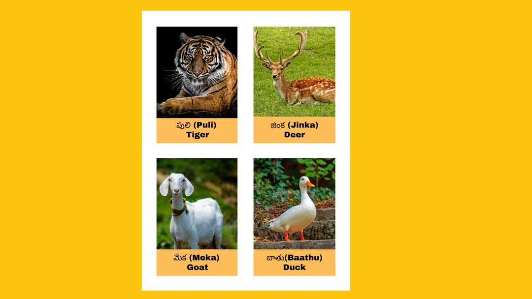 Telugu Animal Flashcards With English Translations | Kids Learning ...