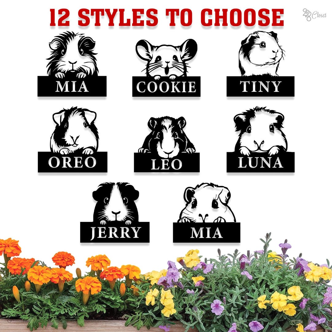 Personalized Guinea Pig Metal Sign: Pet Name Tag With 12 Breeds, Guinea ...