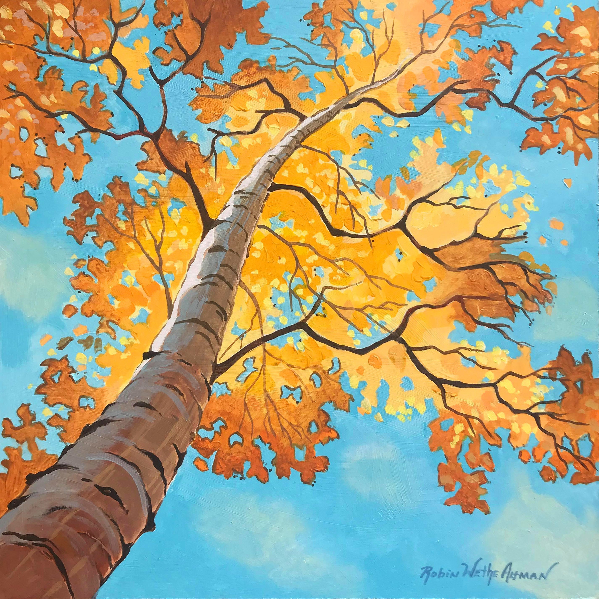 Birch Tree In Fall Looking Up At A Birch Tree Fall Trees Yellow