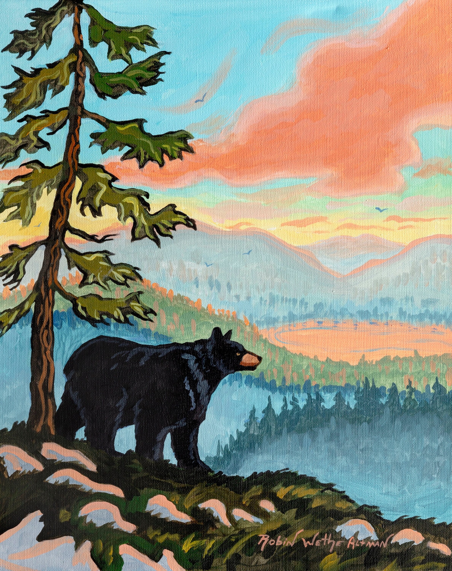 Black Bear at Sunset - Etsy